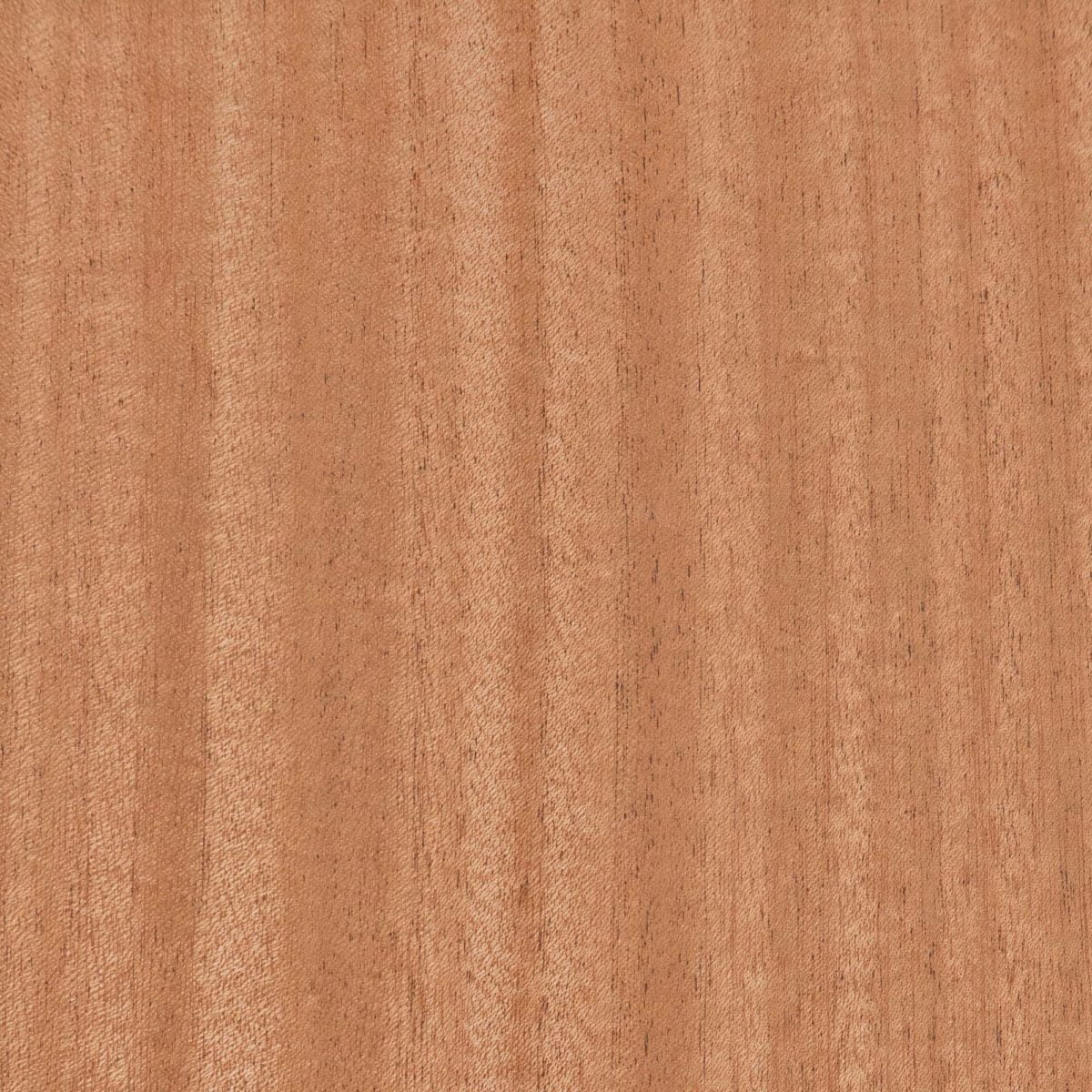 Acajou khalya - CrisVeneer